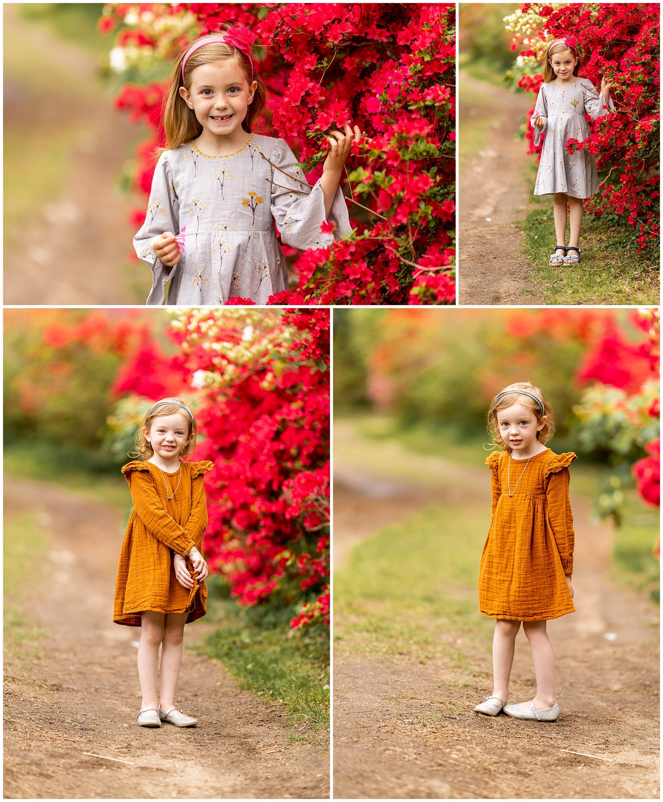 2021 Kinney Azalea Garden Spring Mini Sessions | Kingston, Rhode Island ...