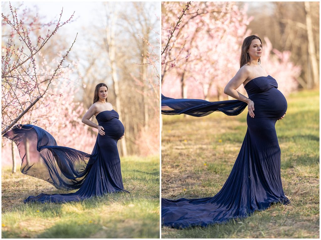 Michelle | Apple Orchard Maternity Portrait - Polar Square Designs
