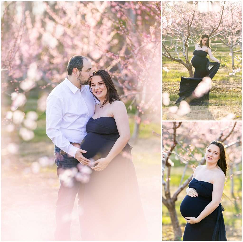 Michelle | Apple Orchard Maternity Portrait - Polar Square Designs